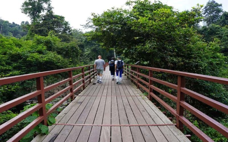 Back to Nature Trekking and Hiking at Khao Yai National Park - The Value of a Guided Small Group Experience