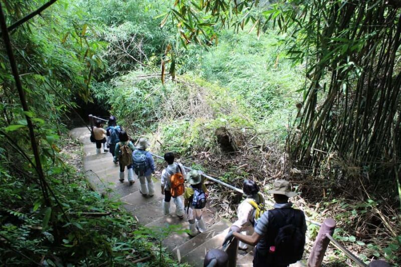 Back to Nature Trekking and Hiking at Khao Yai National Park - The Sum Up