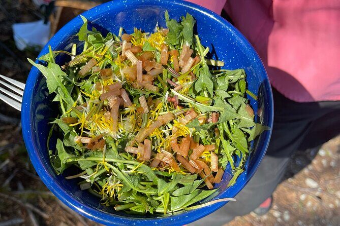 Backcountry Eats & Foraging Treats - An In-Depth Look at the Tour Experience