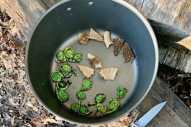 Backcountry Eats & Foraging Treats - Final Thoughts