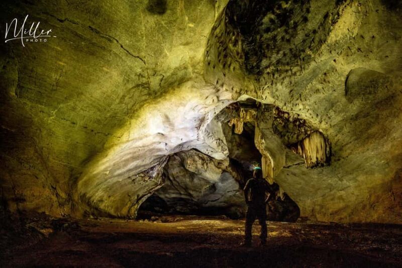 Backcountry Scooter Adventure, Elephants, Cave, scenic views - Key Points