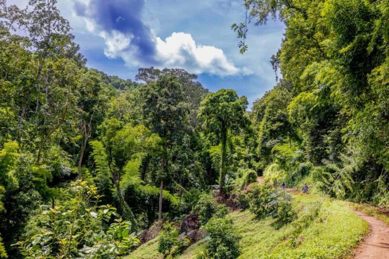 Backcountry Scooter Adventure, Elephants, Cave, scenic views - What Travelers Are Saying