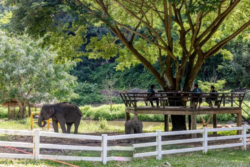 Backcountry Scooter Adventure, Elephants, Cave, scenic views - Practical Tips for Future Riders