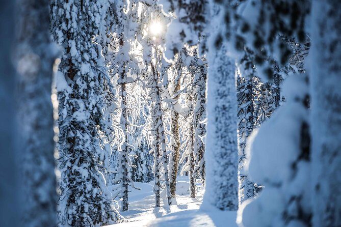 Backcountry skiing adventure - Summary