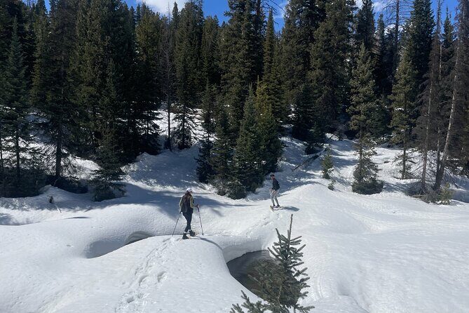 Backcountry snowshoeing in pristine Utah mountains - An In-Depth Look at the Experience