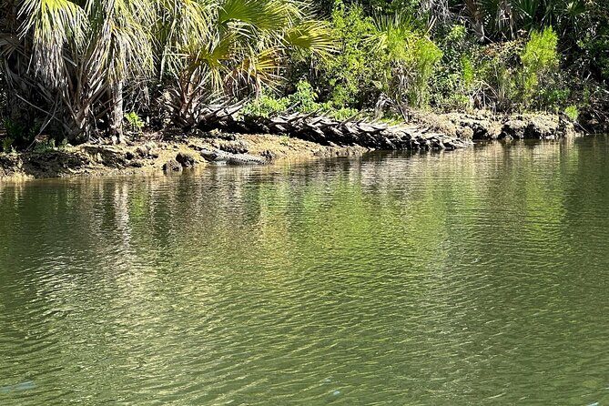 Backland Alligator Electric Paddle Tour - Who Should Consider This Tour?