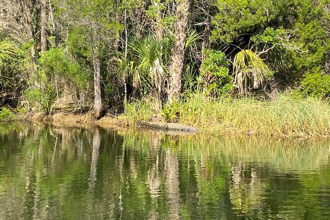 Backland Alligator Electric Paddle Tour - The Sum Up