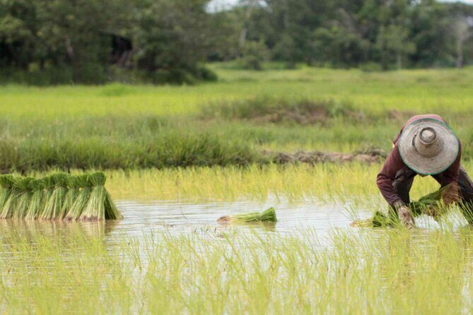 Backlanes and Hidden Sites: A Self-Guided Audio Tour in Seminyak - Authenticity and Local Flavor