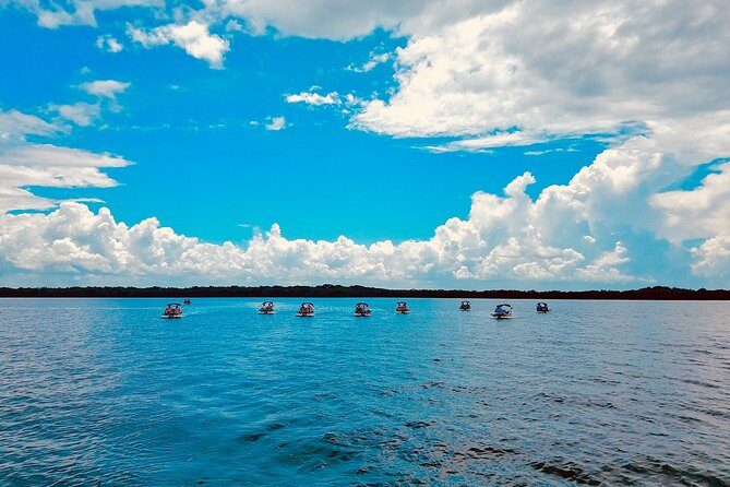 Backwater Adventure's CraigCat Tours of the 10,000 Islands - The Practical Details: What You Should Know