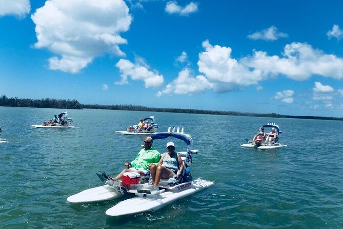 Backwater Adventure's CraigCat Tours of the 10,000 Islands - What People Say: Authentic Guest Perspectives