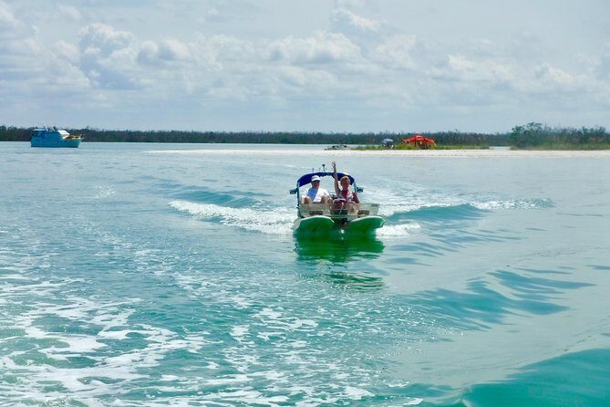 Backwater Adventure's CraigCat Tours of the 10,000 Islands - The Value of This Tour
