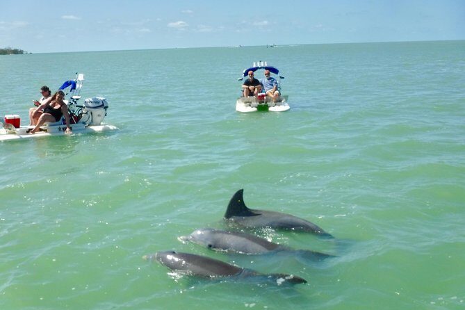 Backwater Adventure's CraigCat Tours of the 10,000 Islands - Who Should Consider This Tour?