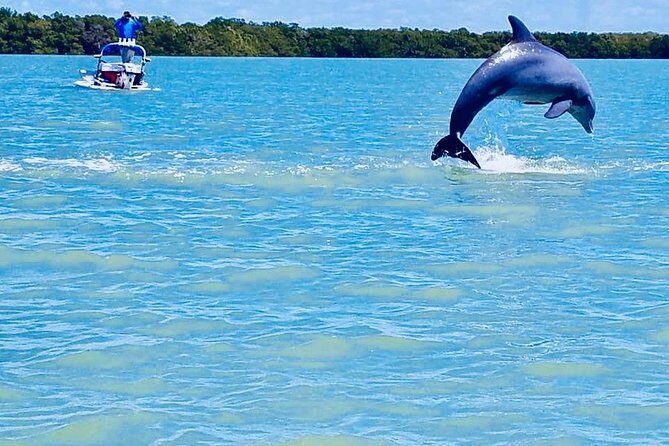 Backwater Adventure's CraigCat Tours of the 10,000 Islands - FAQ Section