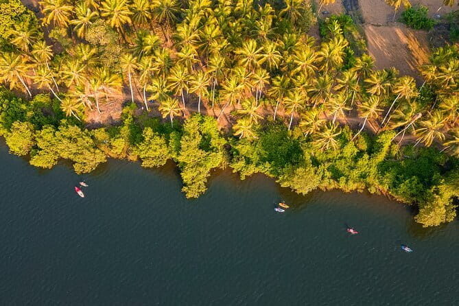 Backwater Kayaking Experience - FAQ