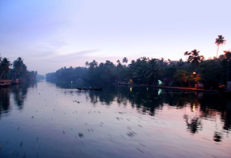 Backwaters of Alapuzha from Cochin port - An In-Depth Look at Kerala’s Backwaters Experience