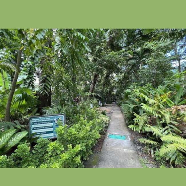 Bacolod City Tour - What You Can Expect Throughout the Day