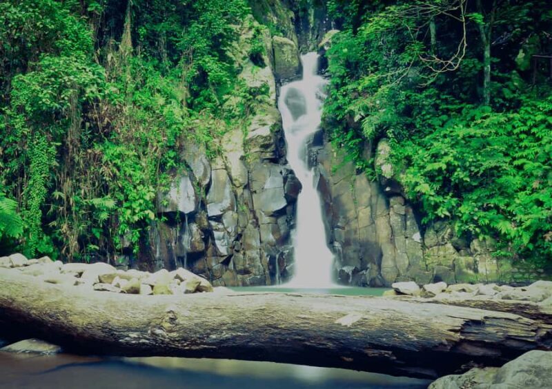 Bacolod: Mambukal Trip - Key Points