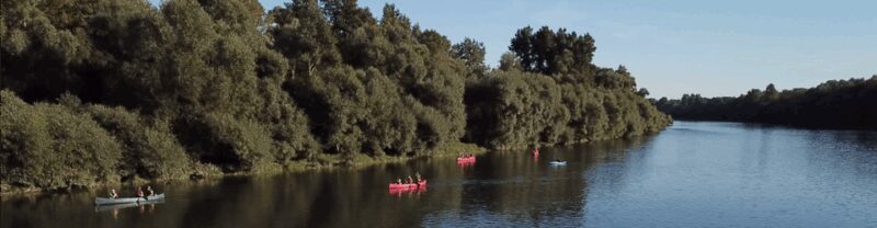 Bad Bellingen: Beginners Canoe Tour on the Altrhein - The Itinerary: From Starting Point to the Finish