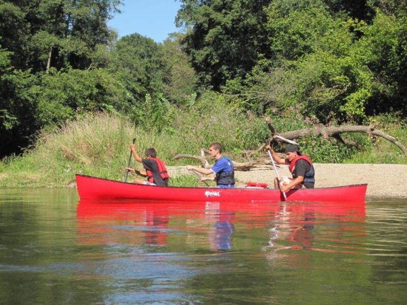 Bad Bellingen: Beginners Canoe Tour on the Altrhein - Who Should Consider This Tour?