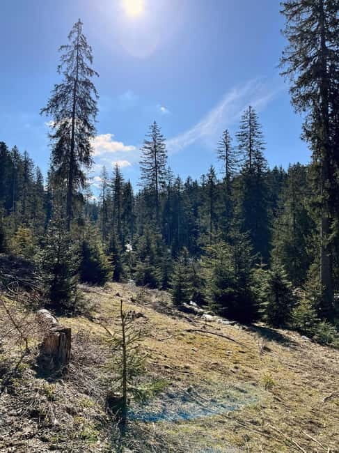 Bad Goisern: Caving & Scenic Hiking Adventure - An In-Depth Look at the Tour