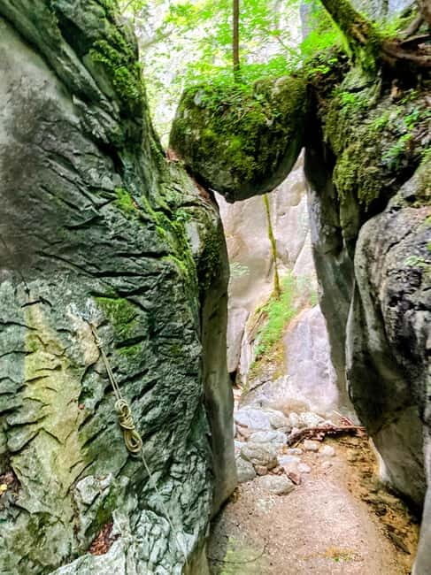 Bad Goisern: Intermediate Canyoning Tour With Epic Rappels - Key Points