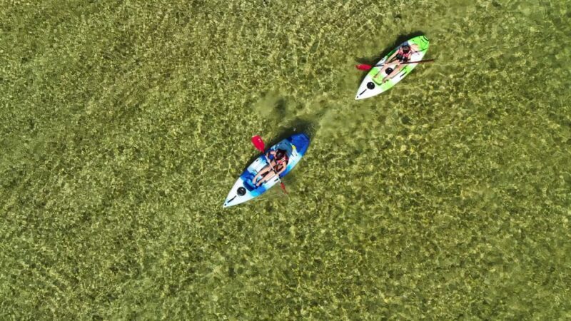 Bad Goisern: Kayak adventure on the Traun in the Salzkammergut - Key Points