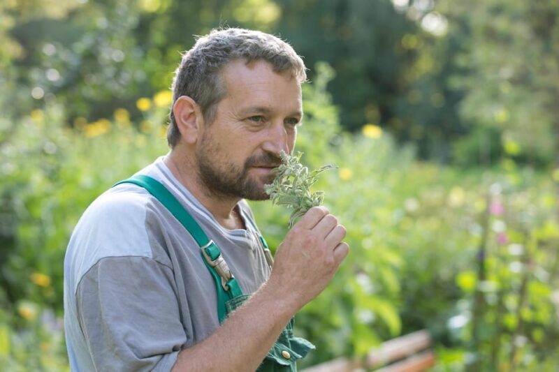 Bad Wörishofen: Herb Tour - Final Thoughts