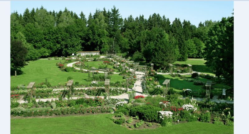 Bad Wörishofen: Rose Garden Tour - Authentic Insights from Visitors