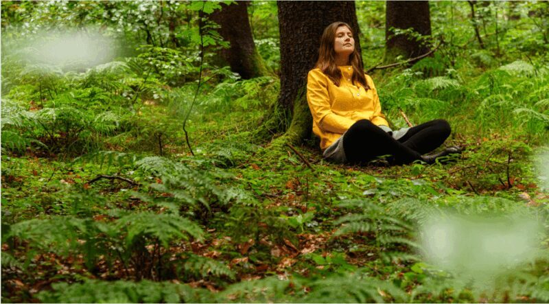 Bad Wörishofen: Shinrin-Yoku  Forest Bathing - Key Points