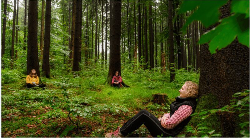 Bad Wörishofen: Shinrin-Yoku  Forest Bathing - What exactly is Shinrin-Yoku and why does it matter?