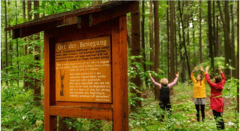Bad Wörishofen: Shinrin-Yoku  Forest Bathing - The Value of the Experience