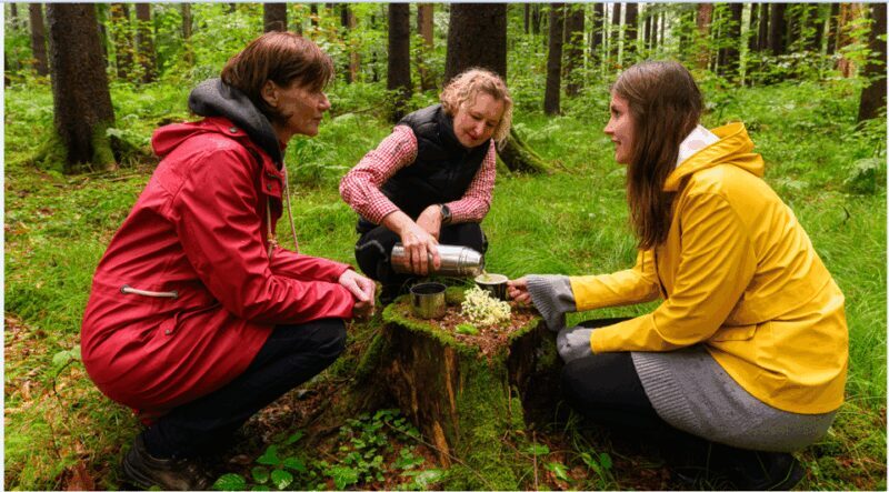 Bad Wörishofen: Shinrin-Yoku  Forest Bathing - FAQ