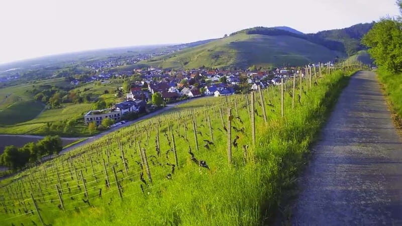 Baden-Baden: Private e-Mountainbike Tour with local Guide - The Itinerary and Scenic Highlights