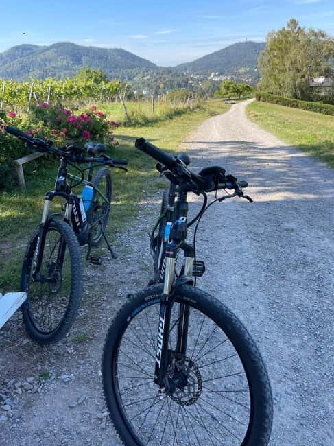 Baden-Baden: Private e-Mountainbike Tour with local Guide - FAQ