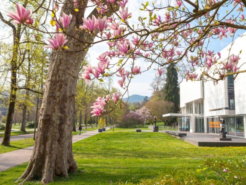 Baden-Baden: Sightseeing Highlights Guided Walking Tour - A Deep Dive into the Experience