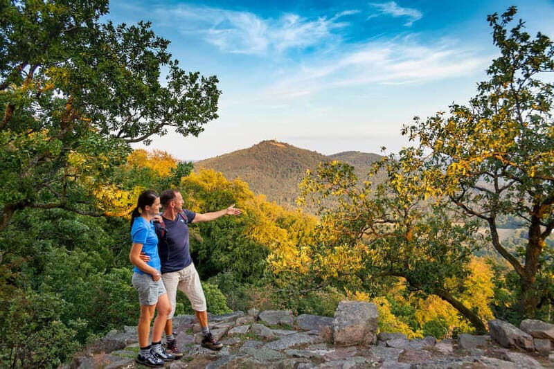 Baden-Baden: Wanderung mit dem Schwarzwald-Guide - Wildlife and Nature: A Living Escape