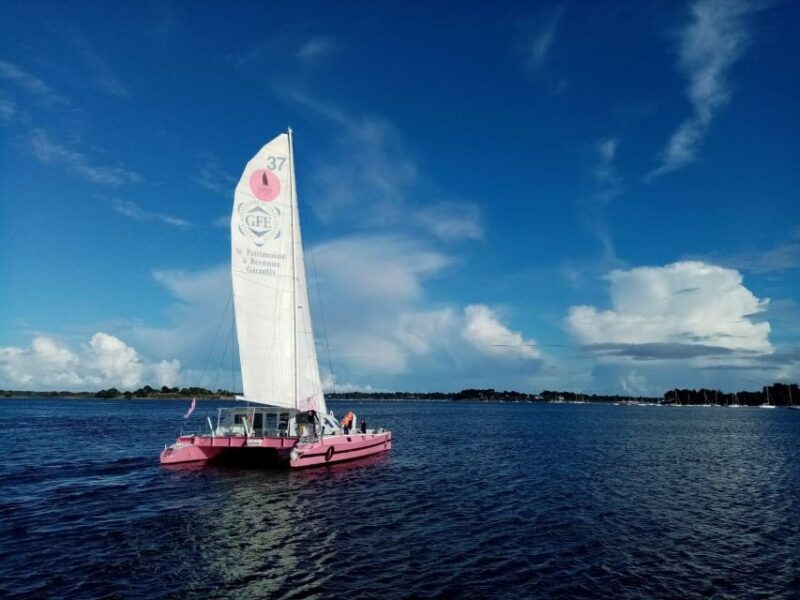 Baden: Gulf of Morbihan Exploration by Catamaran - Navigating the Gulf of Morbihan: What to Expect