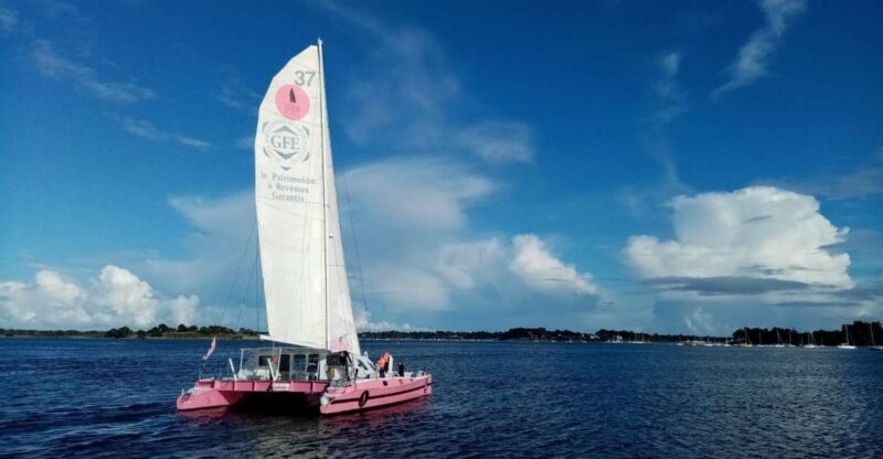 Baden: Gulf of Morbihan Exploration by Catamaran - Who Will Enjoy This Tour?