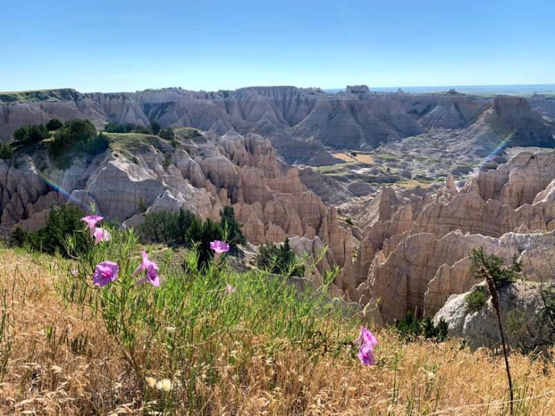 Badlands National Park: Private Bike/E-Bike Tour with Lunch - Who Will Love This Tour