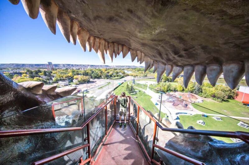 Badlands Tour: Drumheller with Museum, Hoodoos & Coal Mine - The Journey Begins: From Calgary to Drumheller