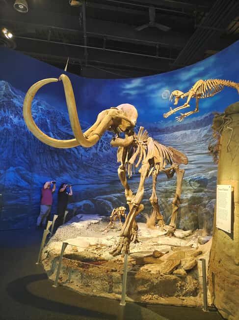 Badlands Tour: Drumheller with Museum, Hoodoos & Coal Mine - Final Thoughts on Value and Suitability