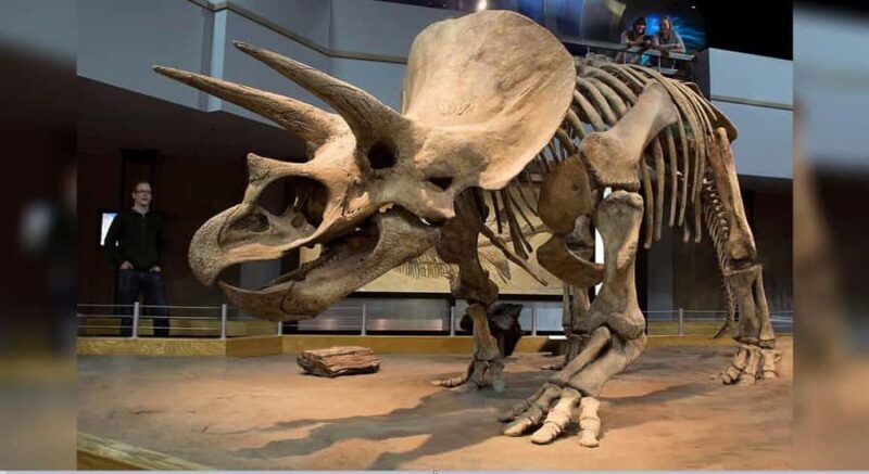 Badlands Tour: Drumheller with Museum, Hoodoos & Dinosaurs - FAQs