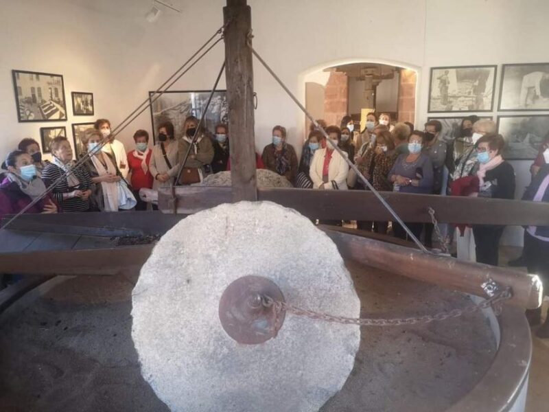 Baeza: Oil Tourism at Hacienda La Laguna - Key Points