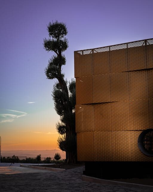 Baeza: Olive Oil Mill & Tasting at AOVEland - The Sum Up: Who Will Get the Most Out of This Tour?