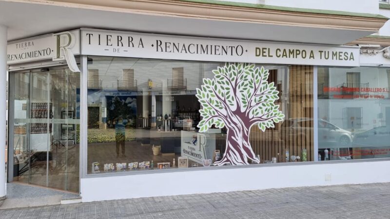 Baeza: Visit to an Ecological Olive Grove + Olive Oil Tasting - The Sum Up