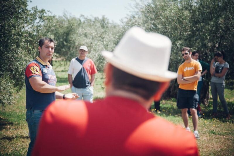 Baeza: Visit to an Ecological Olive Grove + Olive Oil Tasting - FAQ