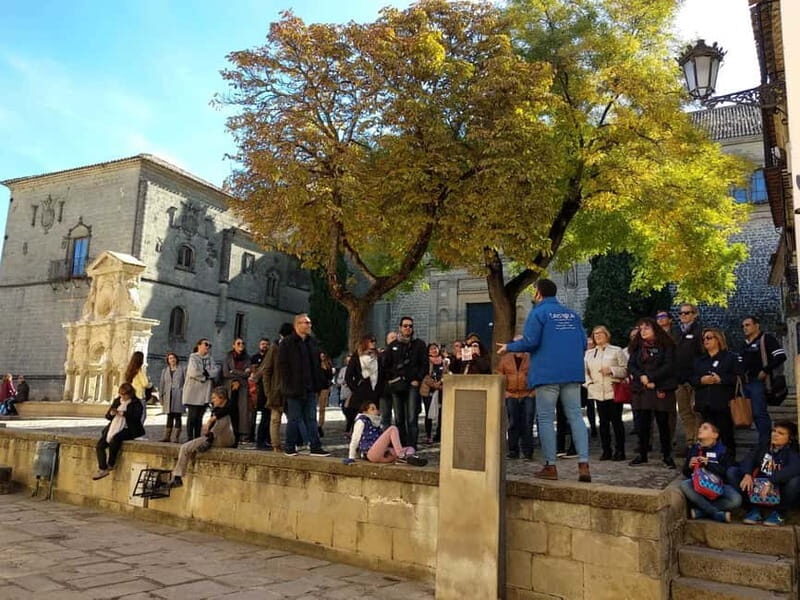 Baeza:visita guiada por casco histórico y entrada a catedral - Who Should Consider This Tour?