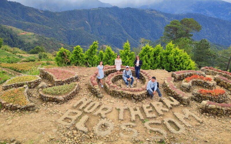 Baguio Atok Flower Blossoms (Private Tour) - Key Points