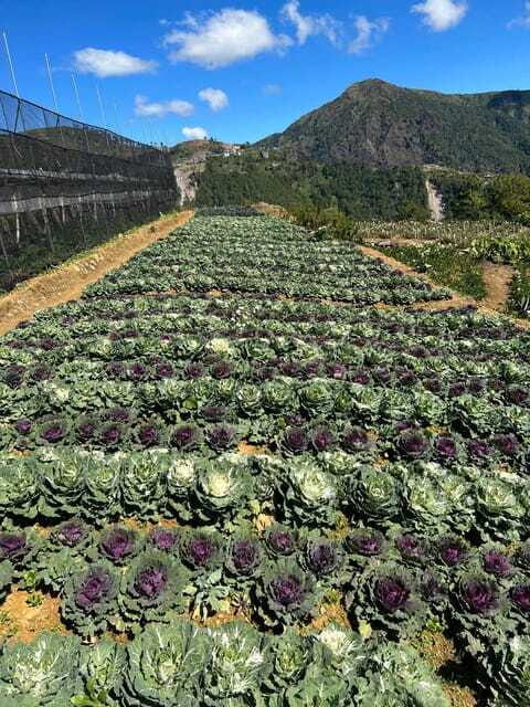 BAGUIO: Culture and Heritage Tour 2D1N - Final Thoughts: Is This Tour Worth It?