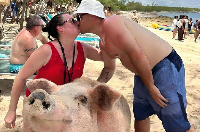 Bahamas Island Private Hopping Adventure - Final Thoughts: Is It Worth It?